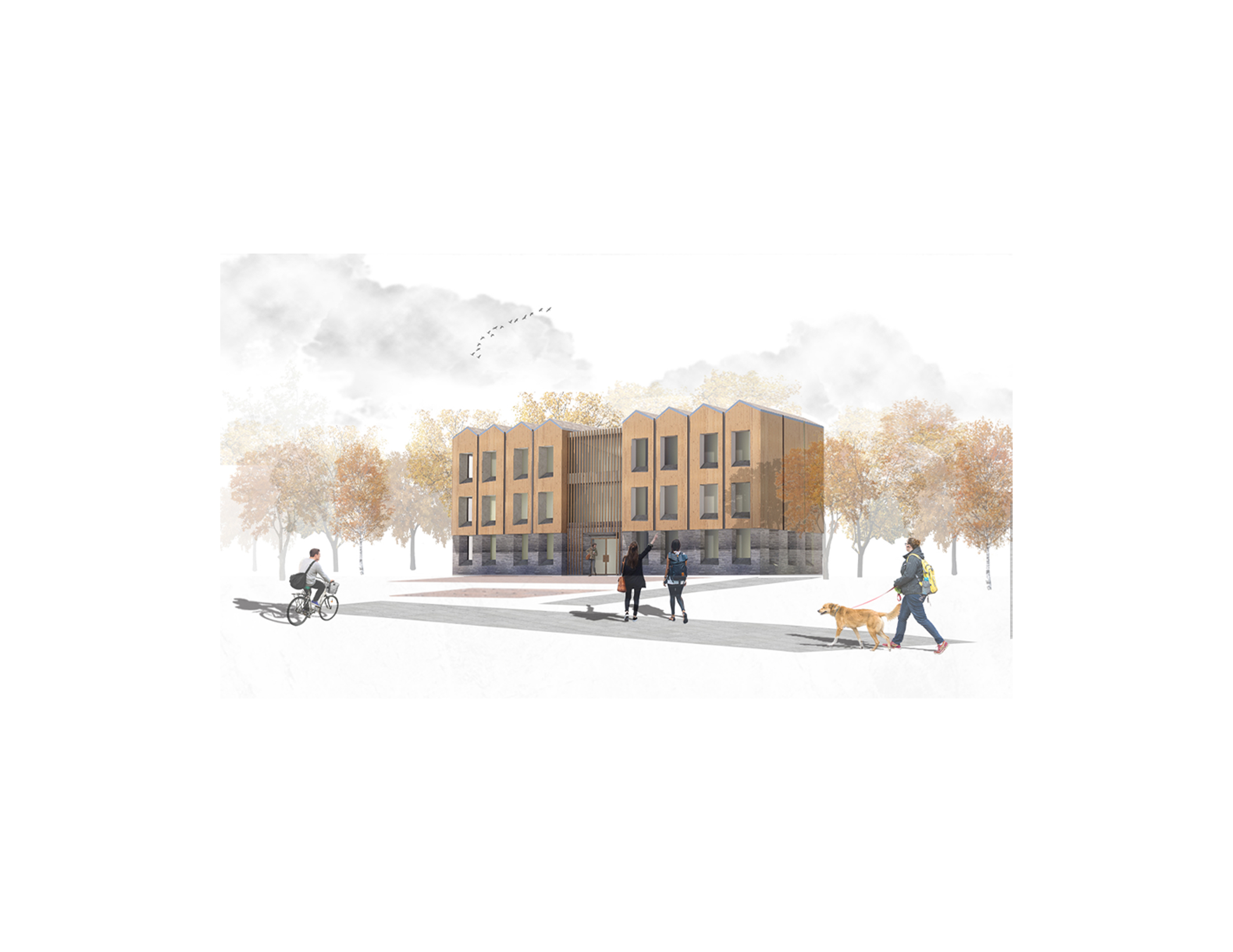 Tim Boylan Architecture